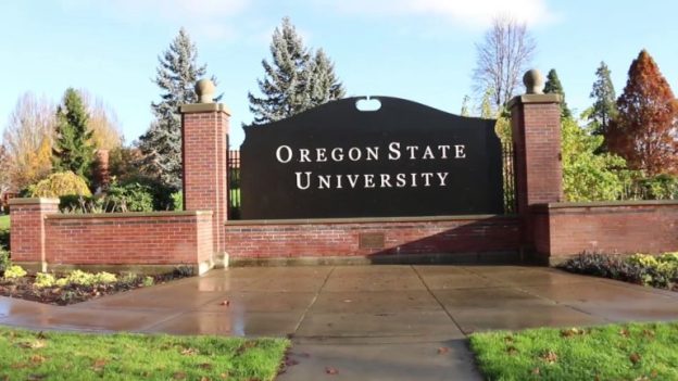 ICSP Scholarships At University Of Oregon USA - ZOEEB