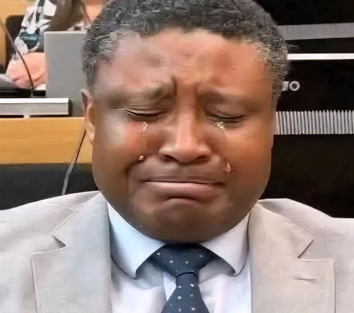 Life Returns to Once-Deserted Igbo Communities After Years of Terror ...